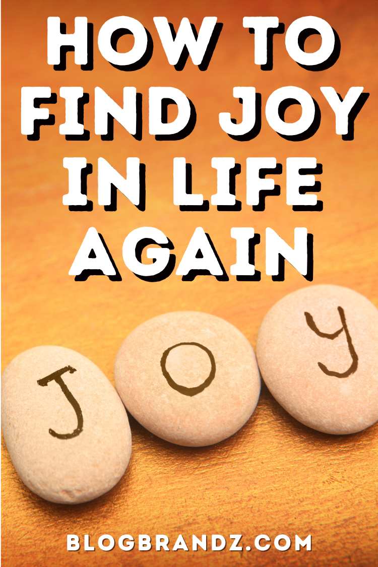 How To Find Joy In Life Again